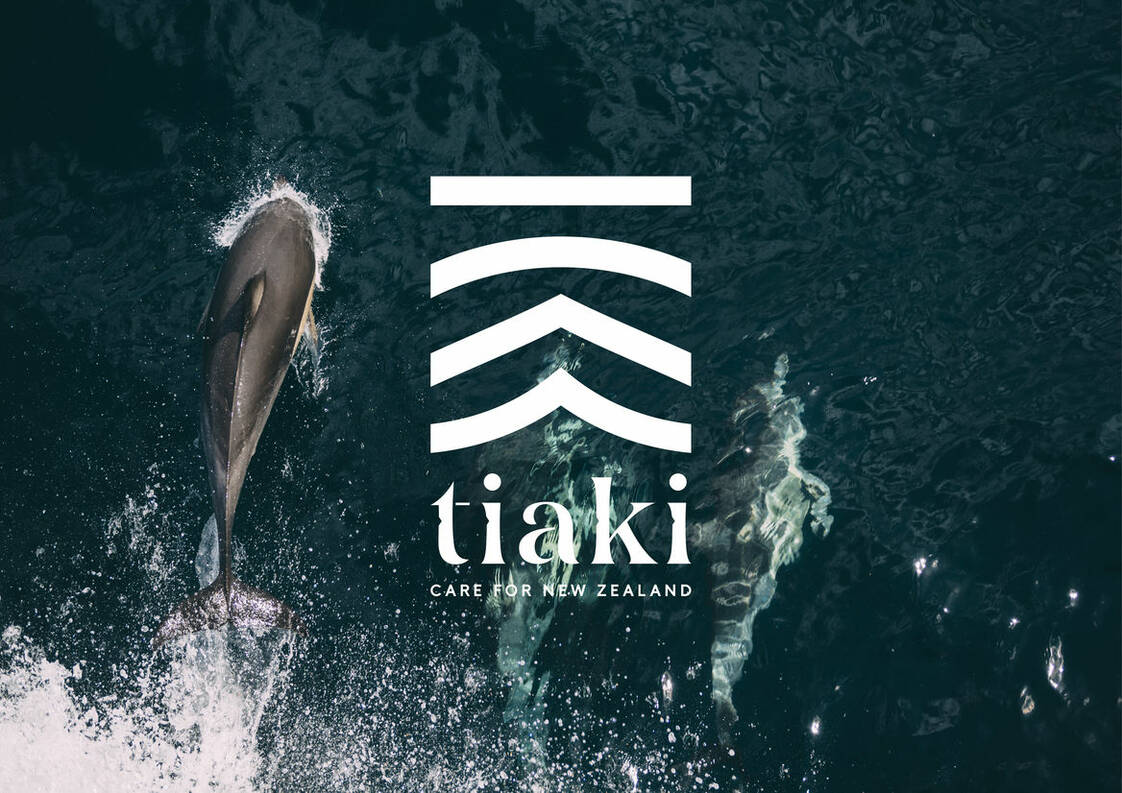 Tiaki - Care for New Zealand — The Designers Institute of New Zealand